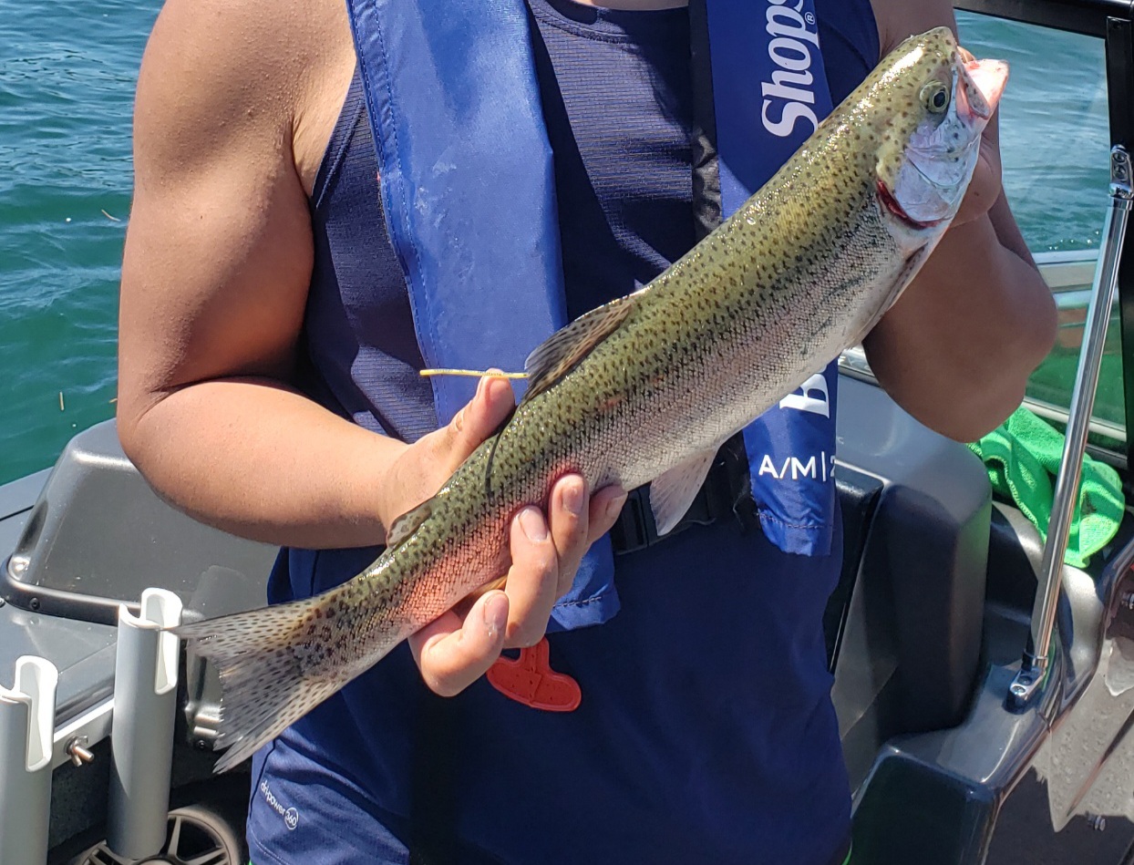 Fishtagger | Catch. Tag. Release. Conserve.